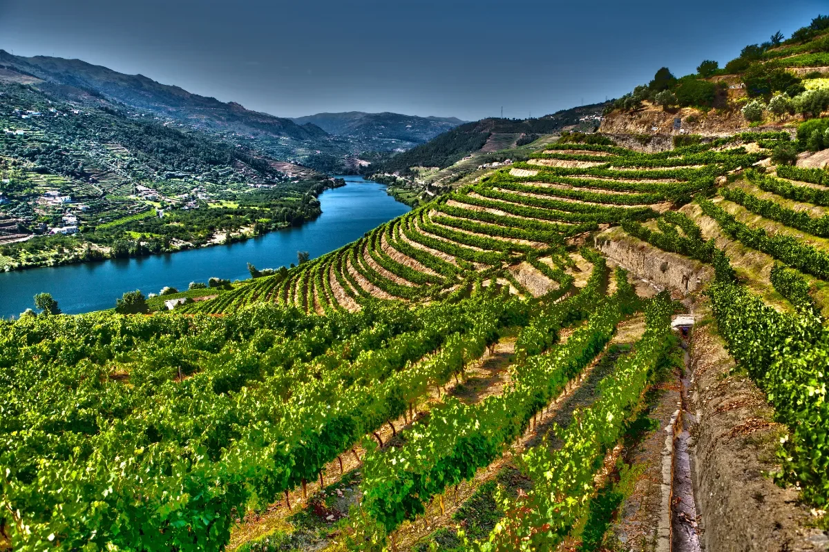Pourquoi visiter la vallée du Douro : paysages, vin et authenticité